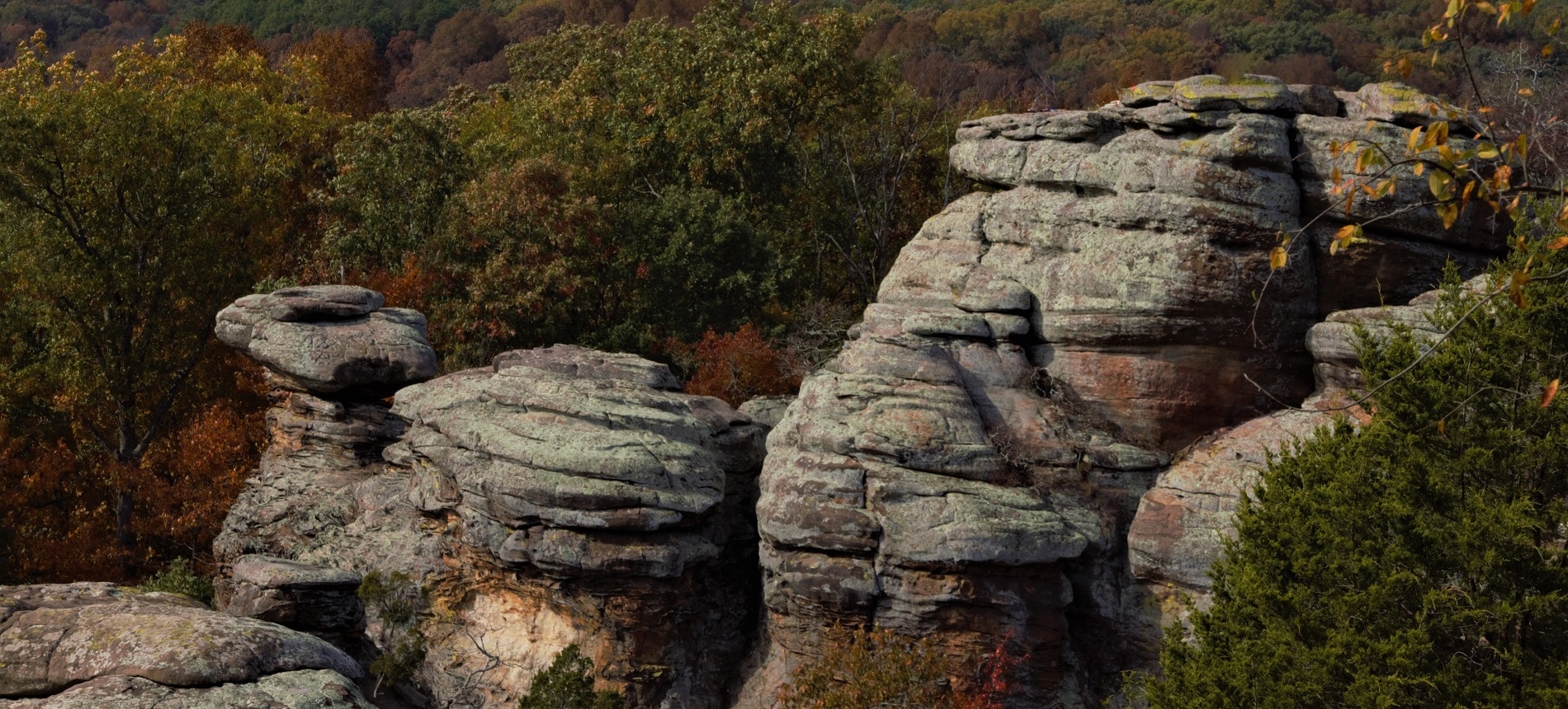 Makanda & Southern Illinois Activities & Attractions | Things to Do